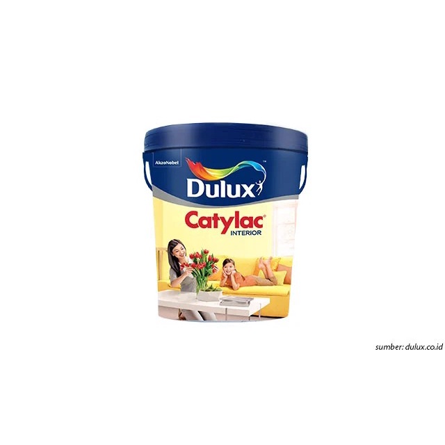 Jual DULUX CATYLAC 5KG | Shopee Indonesia