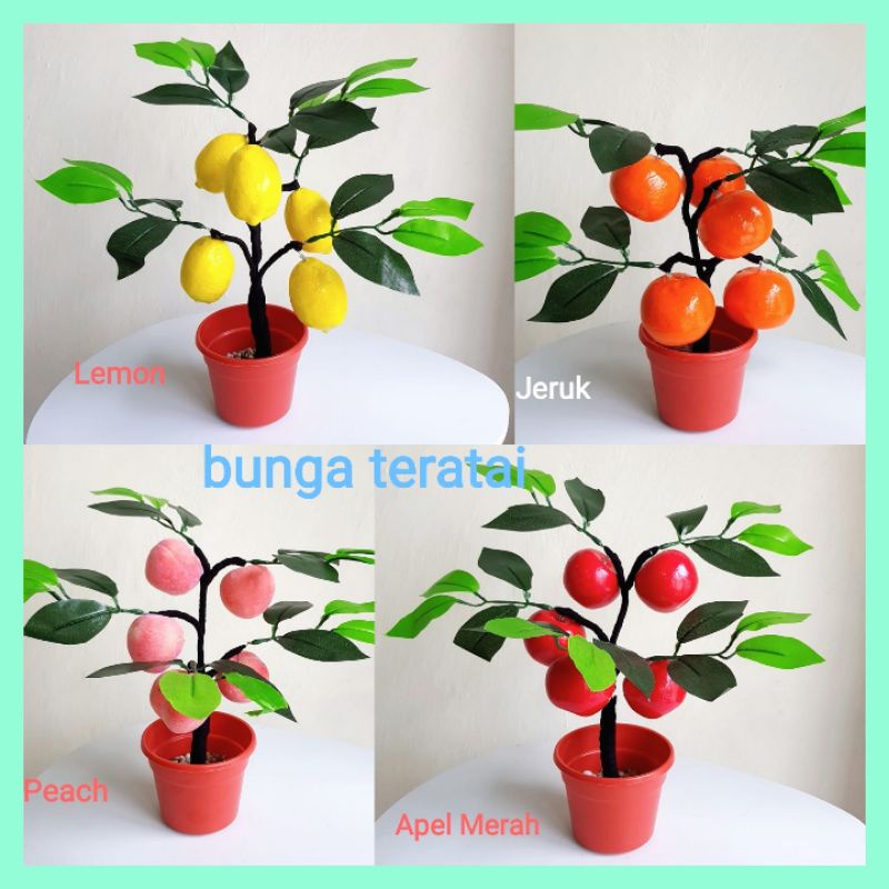 Jual Bonsai buah BUNGA KLASIK ESTETIK DEKORASI hiasan meja | Shopee ...
