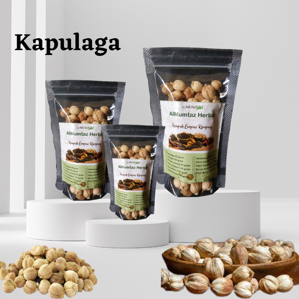 Jual kapulaga rempah asli original Kapulogo, rempah kapulaga 25 gram ...
