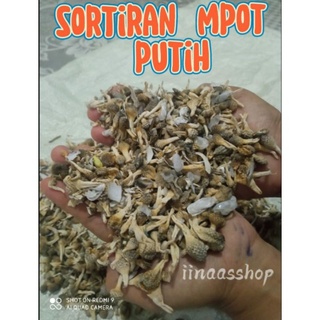 Jual MPOT AYAM PUTIH KHUSUS 5 KG KILOAN PREMIUM | Shopee Indonesia