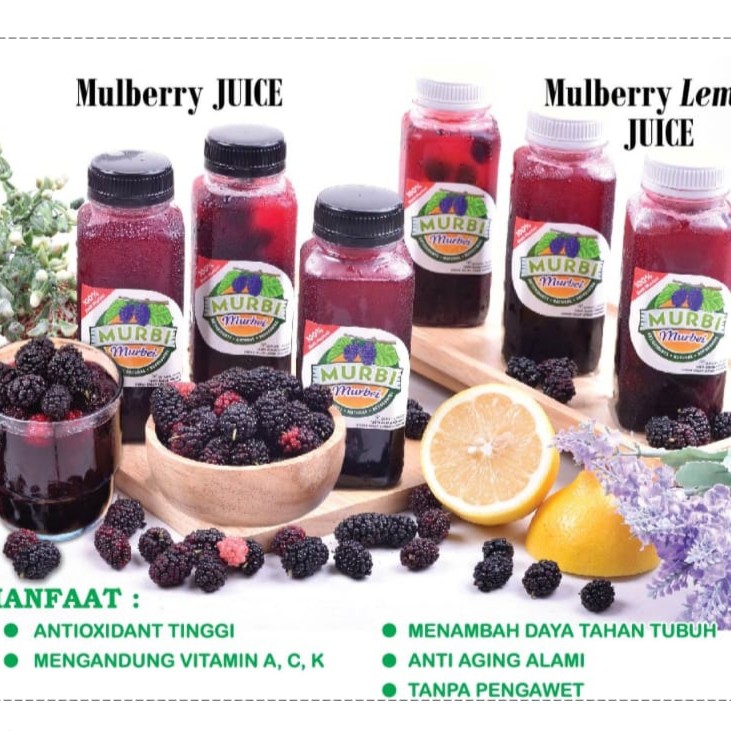 Jual Mulberry Juice Murbi Murbei | Shopee Indonesia