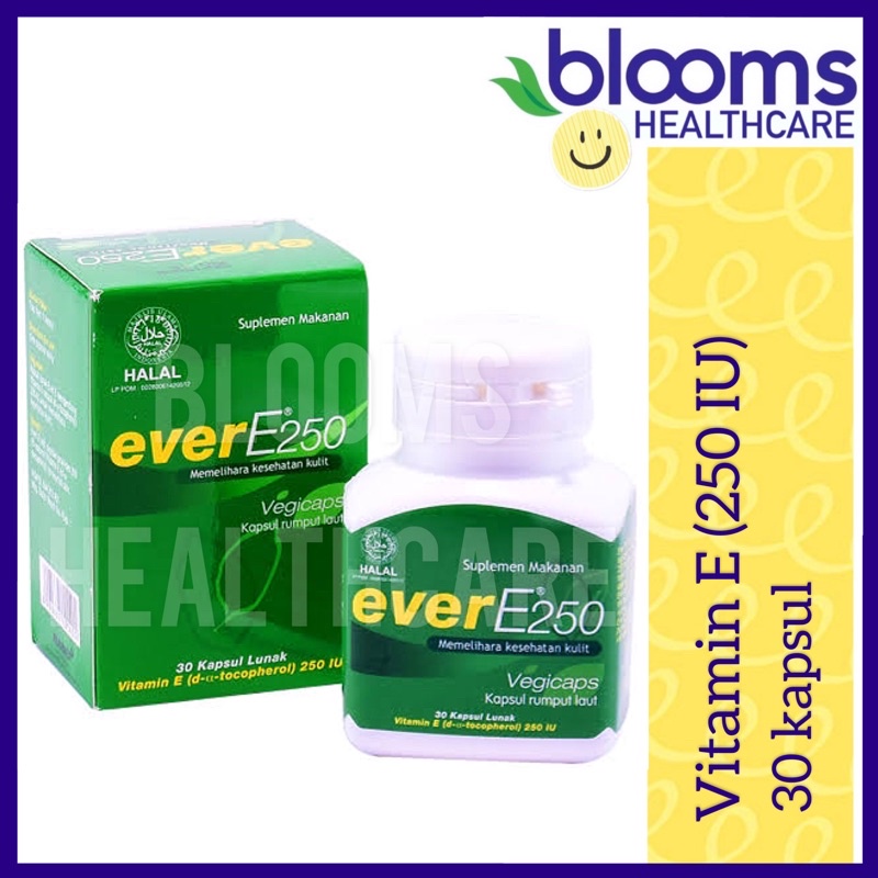 Jual ever e Harga Terbaik & Termurah Februari 2023 | Shopee Indonesia