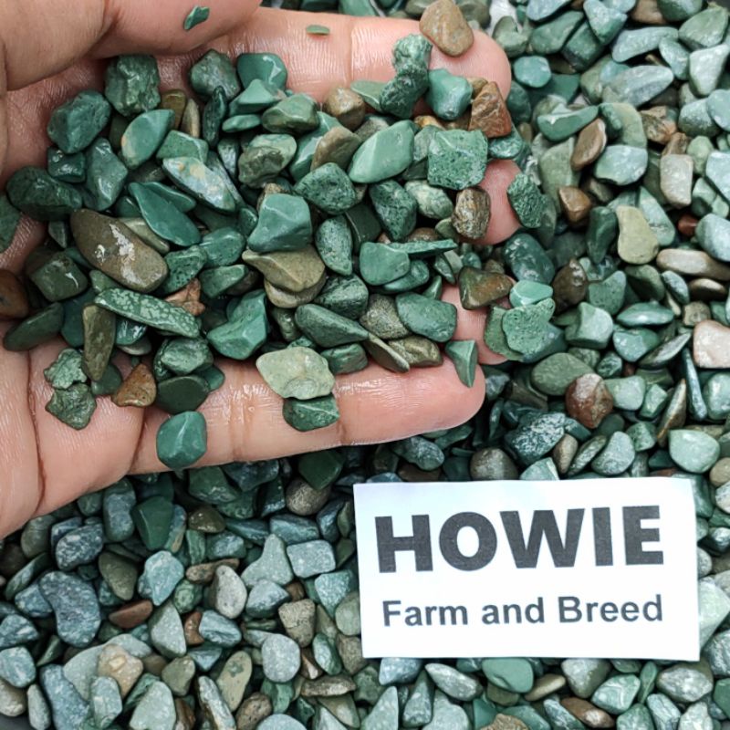 Jual batu Koral Flores Hijau Batu Hias Batu Akuarium Batu Tanaman Batu Warna Indonesia|Shopee ...