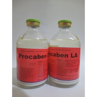 Jual Procaben LA 100ML | Pengganti Penstrep 400 Original | Shopee Indonesia