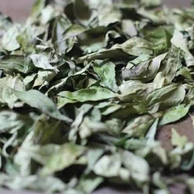 Jual 10 gr Daun kari kering (temurui/salam koja) | Shopee Indonesia