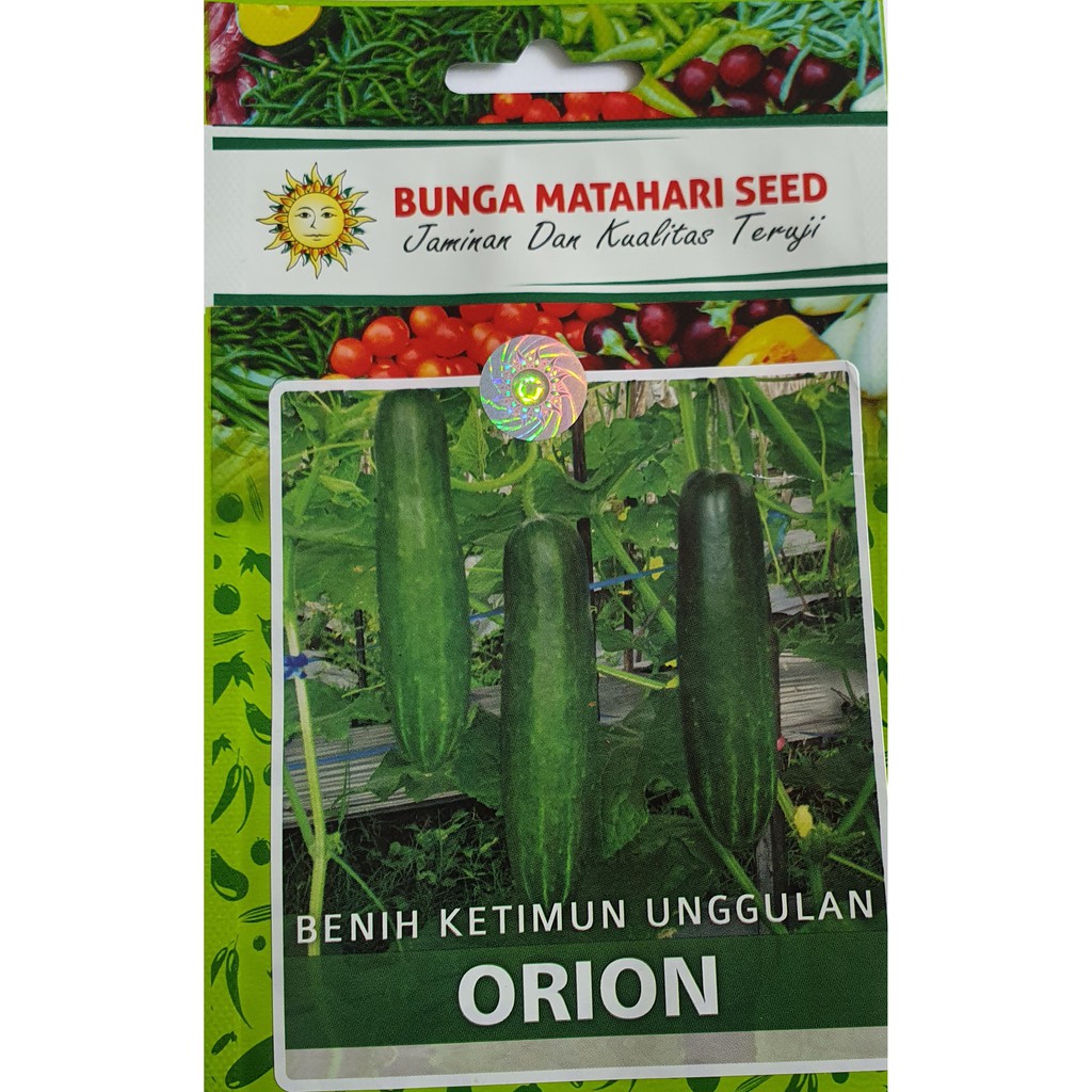 Jual Benih Ketimun Orion (Cap Bunga Matahari) 300 butir (kemasan pabrik ...