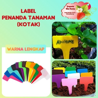 Jual Label penanda tanaman / label tanaman (kotak) | Shopee Indonesia