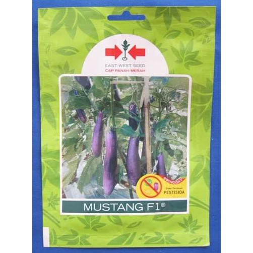 Jual Open Ds] Benih Terong Ungu Panjang Mustang F1 Pack - 400 Butir | Shopee Indonesia