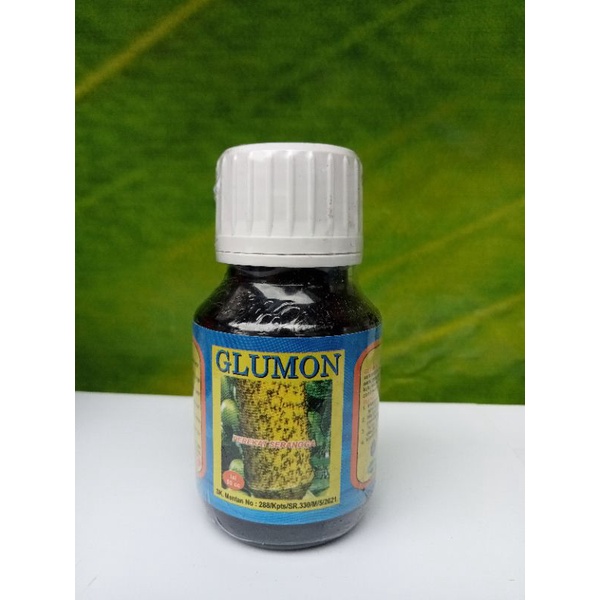 Jual Glumon 50 ml Lem Perangkap Lalat Buah | Shopee Indonesia