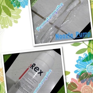 Jual Viorex 4% Liquid Soap 500ml anti bacterial dan microbial. | Shopee ...