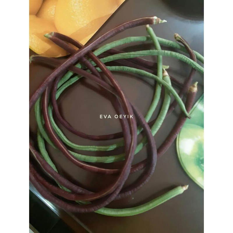 Jual Biji Benih Kacang panjang merah, genjer | Shopee Indonesia Jual Biji Benih Kacang panjang merah, genjer | Shopee Indonesia