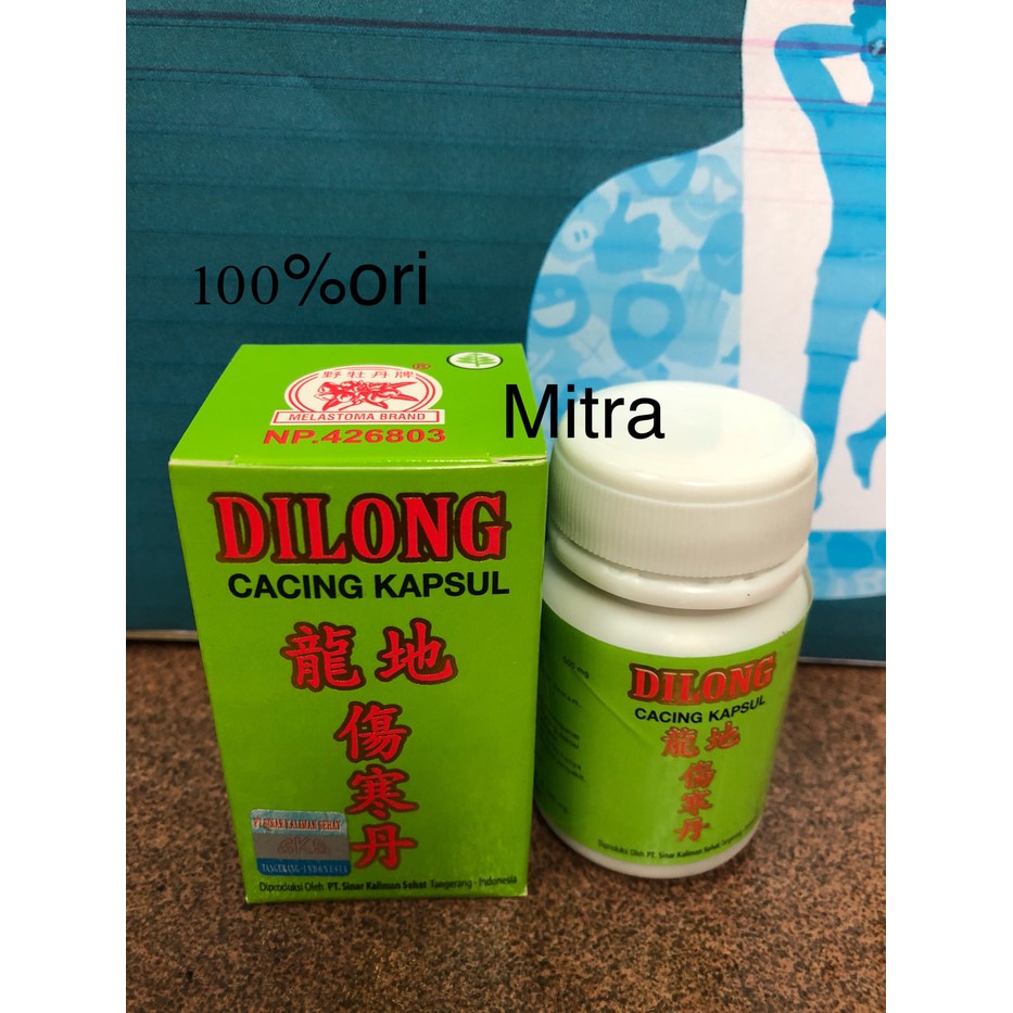 Jual Dilong cacing kapsul _ obat tifus / tipes / typhus 60s | Shopee ...