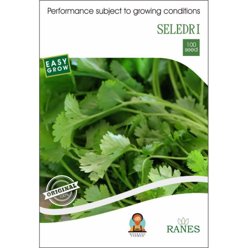 Jual 1 PACK BIJI SELEDRI ( ISI 100 BIJI) | Shopee Indonesia