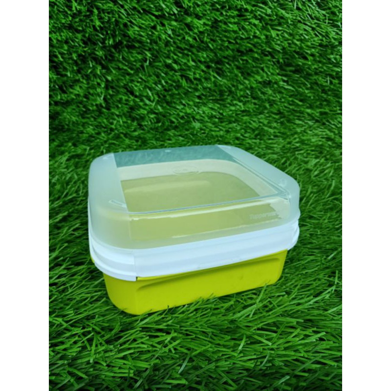 Jual Signature Square Green (Tupperware) | Shopee Indonesia