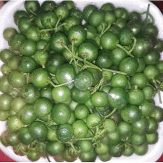 Jual Sayur Buah Leunca / Lenca - Buah Ranti | 500gr [ Harga Per 0,5 Kg ...