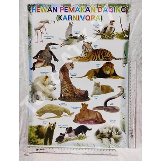 Jual Poster Karnivora Hewan Pemakan Daging & Poster Lainnya per 5lembar ...