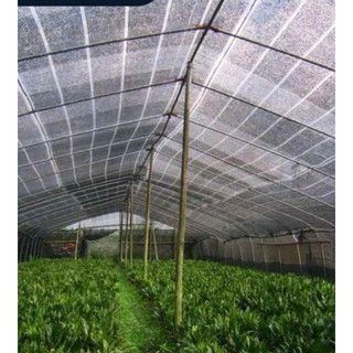 Jual Jaring atap Paranet eceran 1 meter x lebar 3 meter | Shopee Indonesia