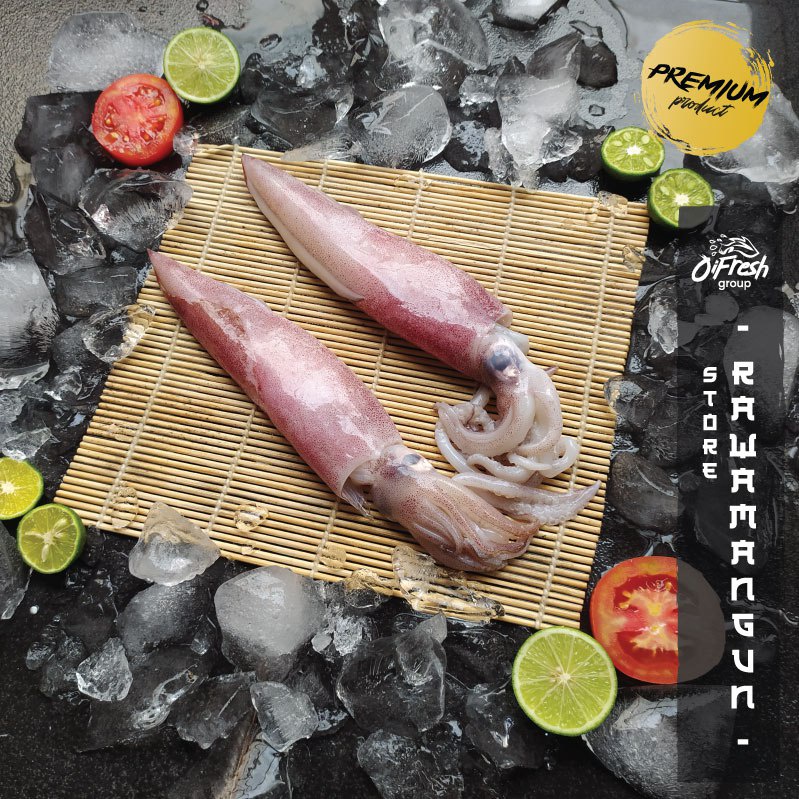 Jual Cumi Jarum PREMIUM LOKAL Segar dan Bergaransi / Pack | Shopee ...