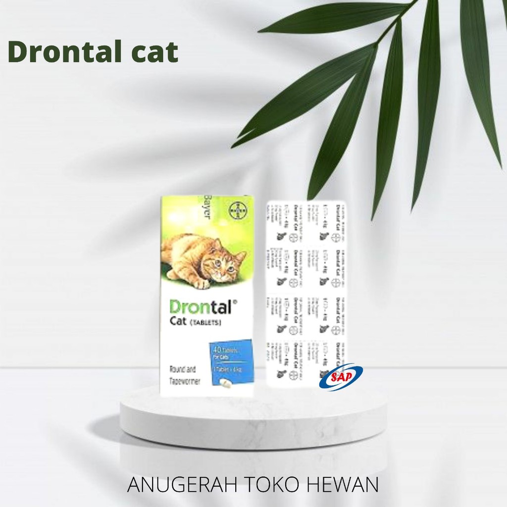 Jual DRONTAL CAT - BAYER - Obat cacing untuk kucing 1 tablet | Shopee ...