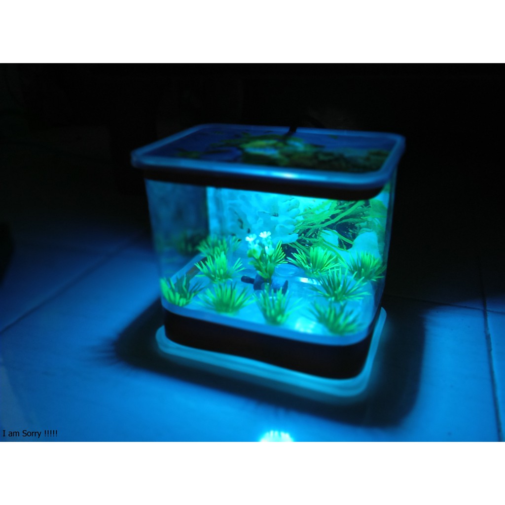 Jual AQUARIUM KOTAK FULLSET LAMPU DAN MESIN AERATOR OXYGEN | Shopee ...