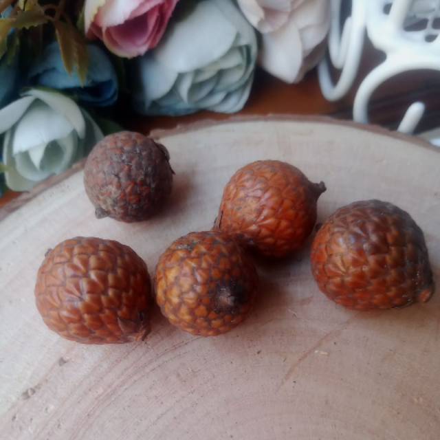 Jual Biji rotan bulat bahan mahar dan craft serta rustic | Shopee Indonesia