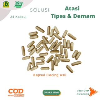 Jual Kapsul Cacing Untuk Tipes Obat Tipes Dan Demam Manjur - KAPSUL ...