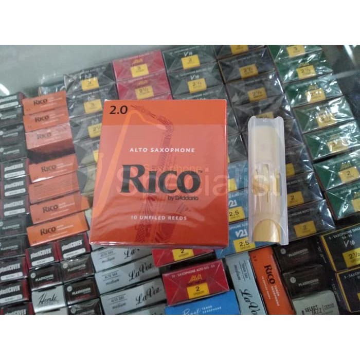 Jual Rico Orange Alto Reed #2 - Eceran (1 pcs). | Shopee Indonesia