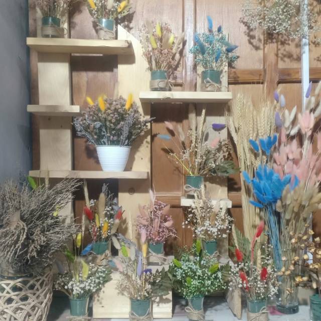 Produk freya flowers | Shopee Indonesia