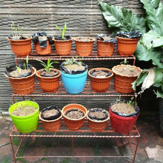 Deretan 25+ Rak Tanaman Hias Rak Bunga Besi yang Wajib Diketahui ...