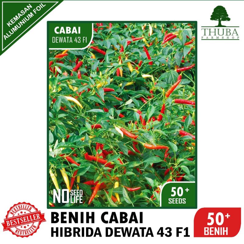 Jual Benih Cabai Rawit Hibrida DEWATA 43 F1 - Bibit Cabe Rawit | Shopee ...