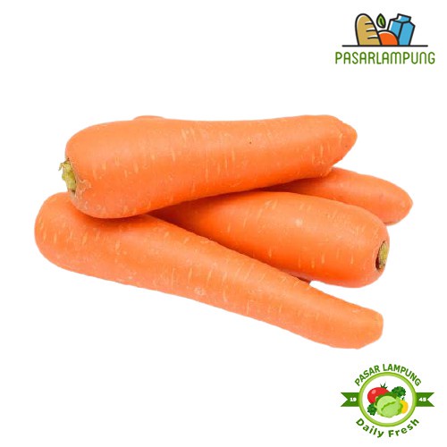 Jual Wortel Import Segar Pasar Lampung | Shopee Indonesia