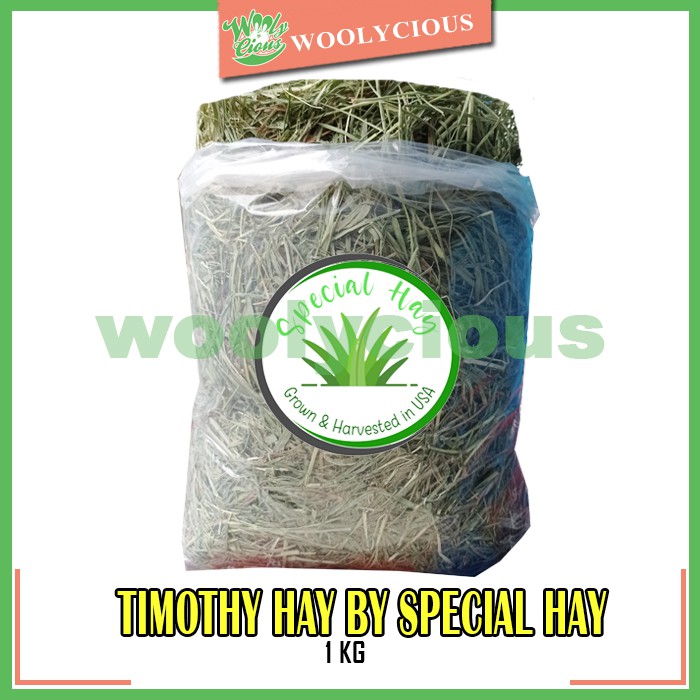 Jual SPECIAL TIMOTHY HAY MAKANAN KELINCI/RUMPUT KELINCI 1 KG- Rumput ...