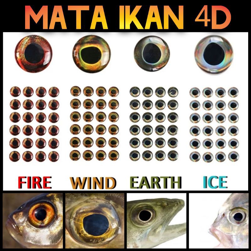 Jual Stiker mata ikan 4d Realis 50pcs | Shopee Indonesia