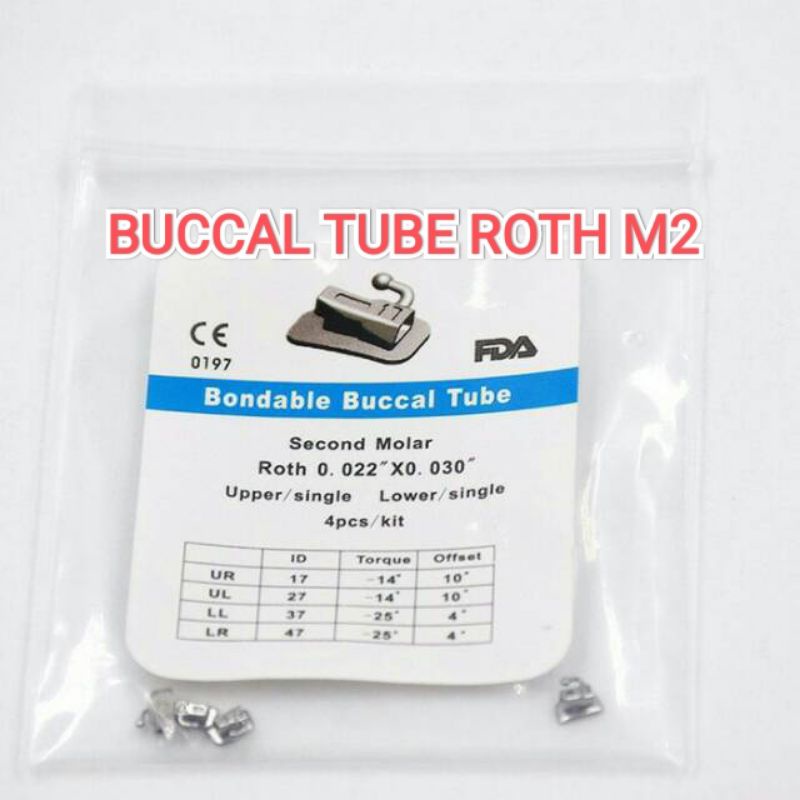 Jual PUNGUNCI BEHEL BUCCAL BUCAL TUBE MINI ROTH M2 | Shopee Indonesia