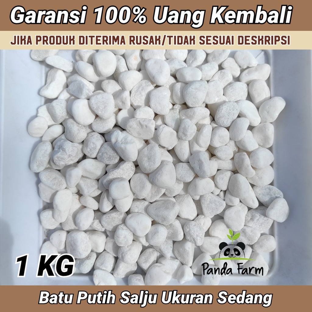 Jual Batu Alam Koral Tabur Kerikil Hias Putih Salju Uk Sedang - 1 kg ...