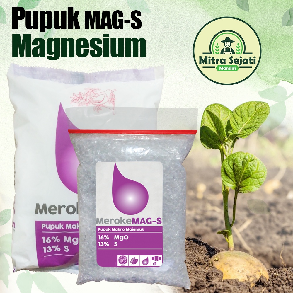 Jual Pupuk Meroke MAG-S 200 gram Repack Pupuk Magnesium Sulfat Garam ...