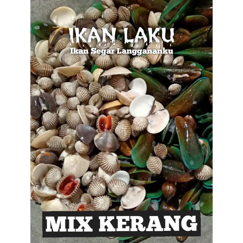 Jual MIX KERANG HIDUP FRESH, KERANG DARA - KERANG IJO - KERANG TAHU ...