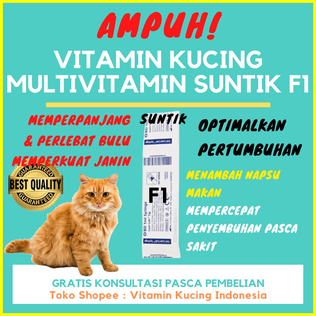 Jual Vitamin Kucing F1 (Multivitamin Suntik Memperpanjang Bulu ...