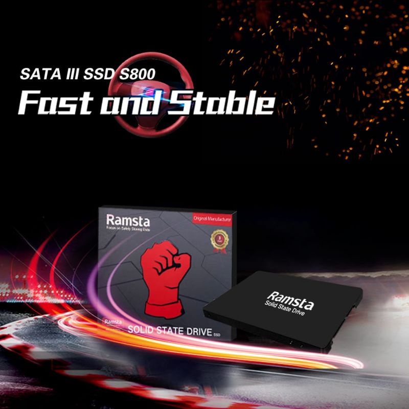 Jual SSD RAMSTA 256 GB SATA BARU | Shopee Indonesia