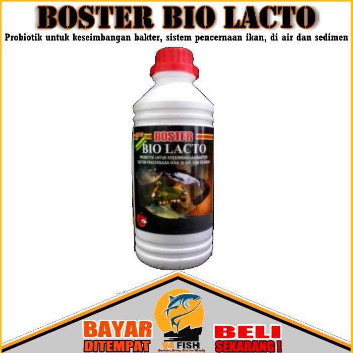Jual BOSTER BIO LACTO Probiotik Sistem Pencernaan Ikan 1 Liter ...
