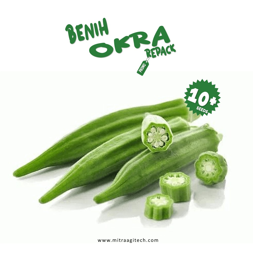 Jual BENIH BIBIT OKRA HIJAU KEMASAN REPACK ISI PULUHAN KEMASAN ZIP LOCK ...
