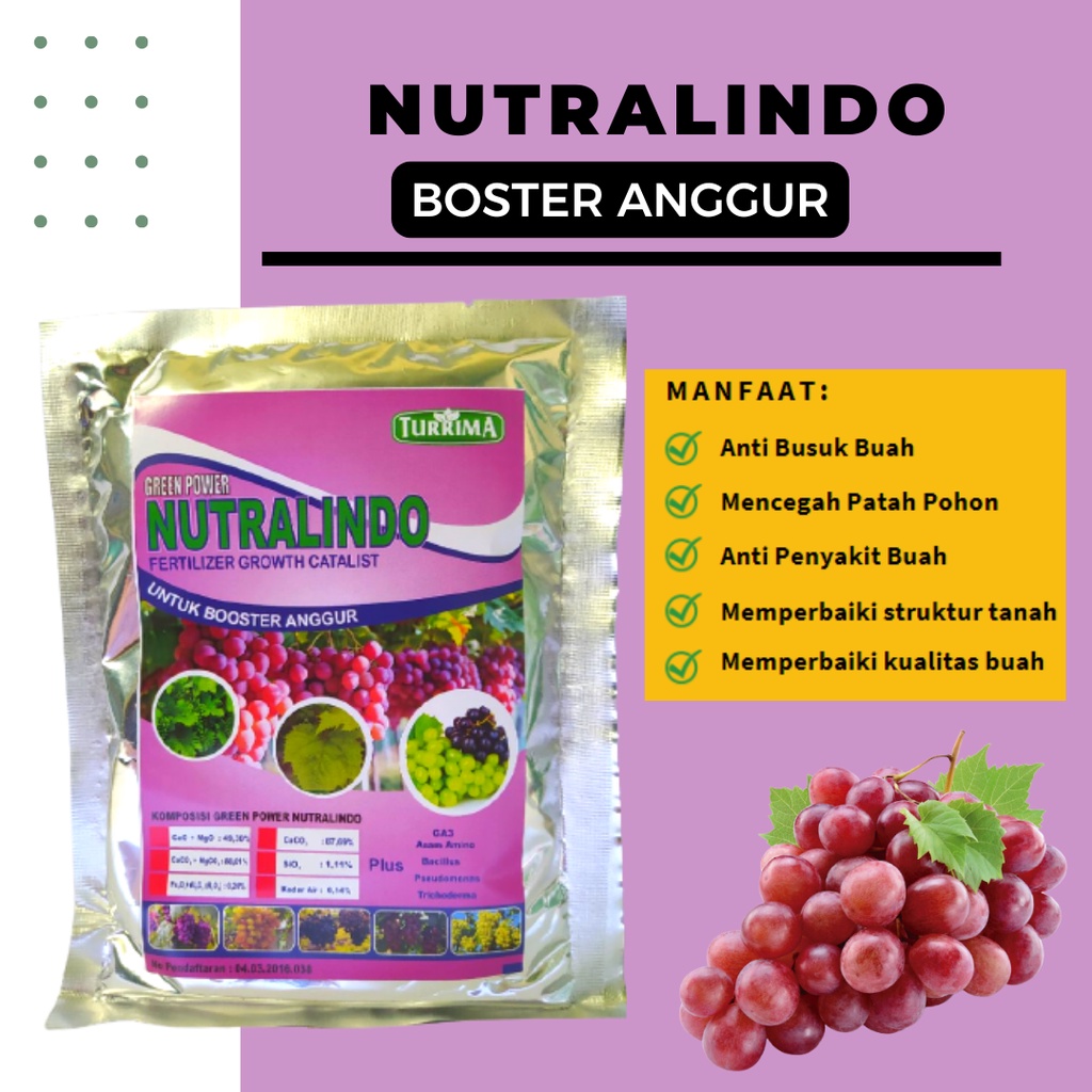 Jual Pupuk Anggur Pupuk Khusus Pohon Anggur Pupuk Tanaman Anggur