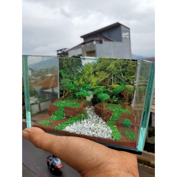 Jual akuarium unik ikan hias tema hutan aquascape artificial tanpa co2 ...