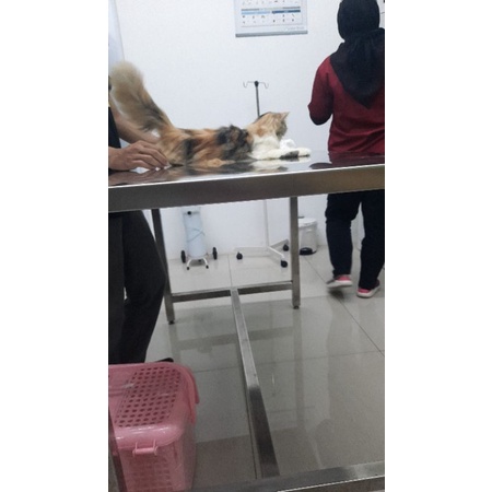 Jual VAKSIN F3 | Shopee Indonesia