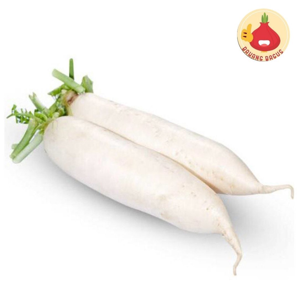 Jual LOBAK PUTIH/LOBAK PUTIH SAYURAN SEGAR/SAYURAN LOBAK 500 gram ...