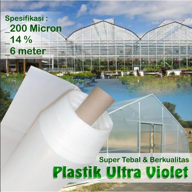 Jual Plastik UV Green House Ukuran 200 Micron - 14 Persen - Lebar 6 Meter - 6 M X 1 M | Shopee ...