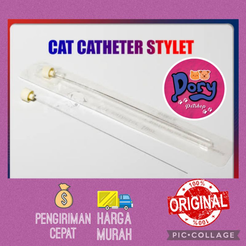 Jual Stilet Kateter Kucing | Shopee Indonesia