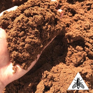 Jual TEPUNG MAGGOT BSF | per 250gr | Shopee Indonesia