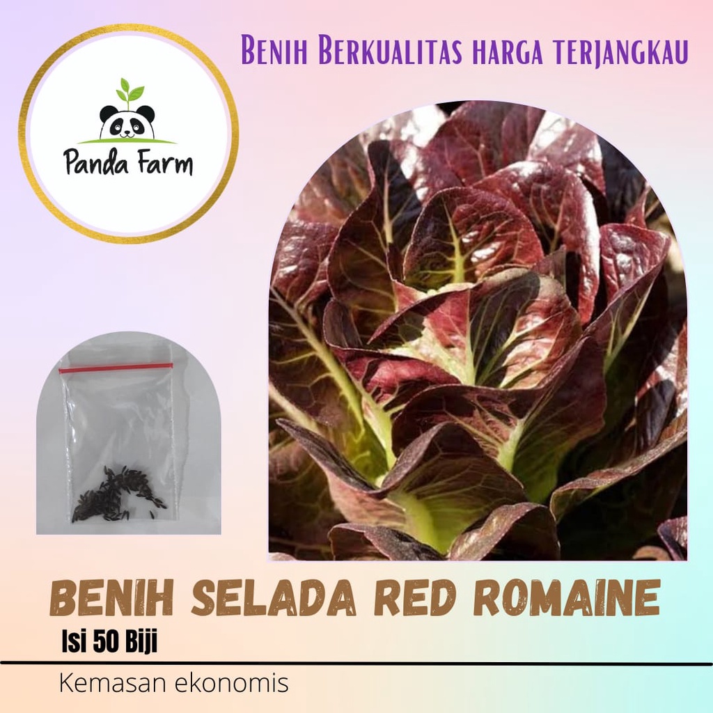 Jual Benih Selada Red Romaine Kemasan Ekonomis | Shopee Indonesia