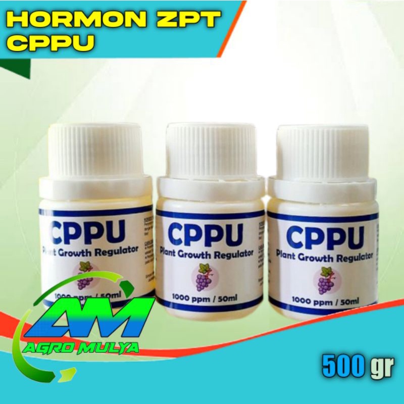 Jual HORMON CPPU 50ML ZPT PEMBESAR BUAH ANGGUR | Shopee Indonesia